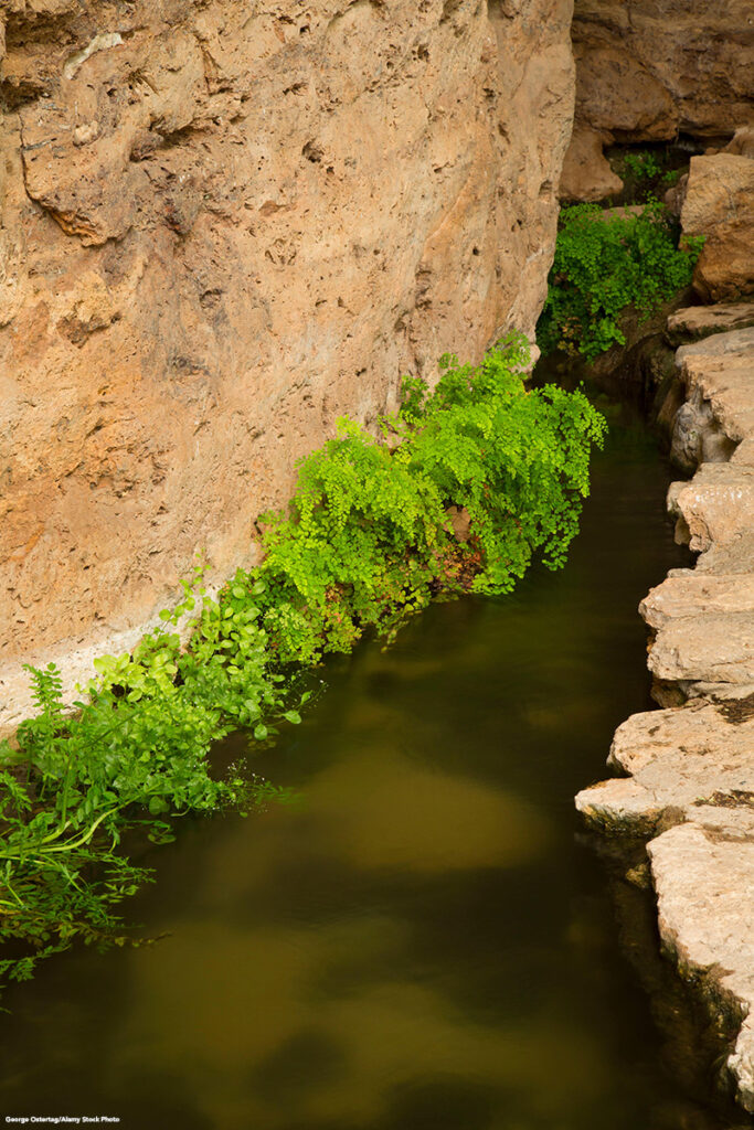 The Pima Canals: A Solution for Modern Water Problems in the Southwest ...